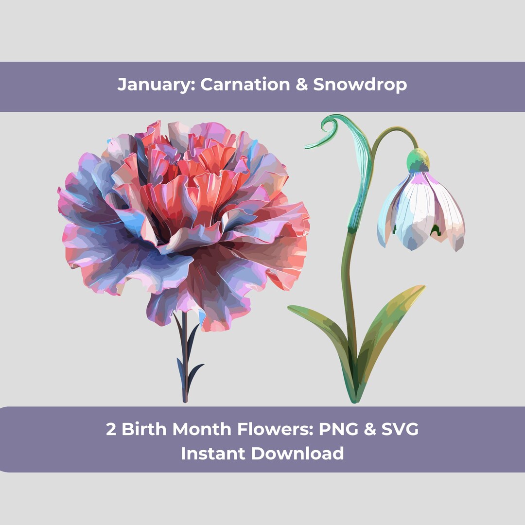 Birth Month Wildflower PNG SVG - January: Carnation & Snowdrop - Family ...