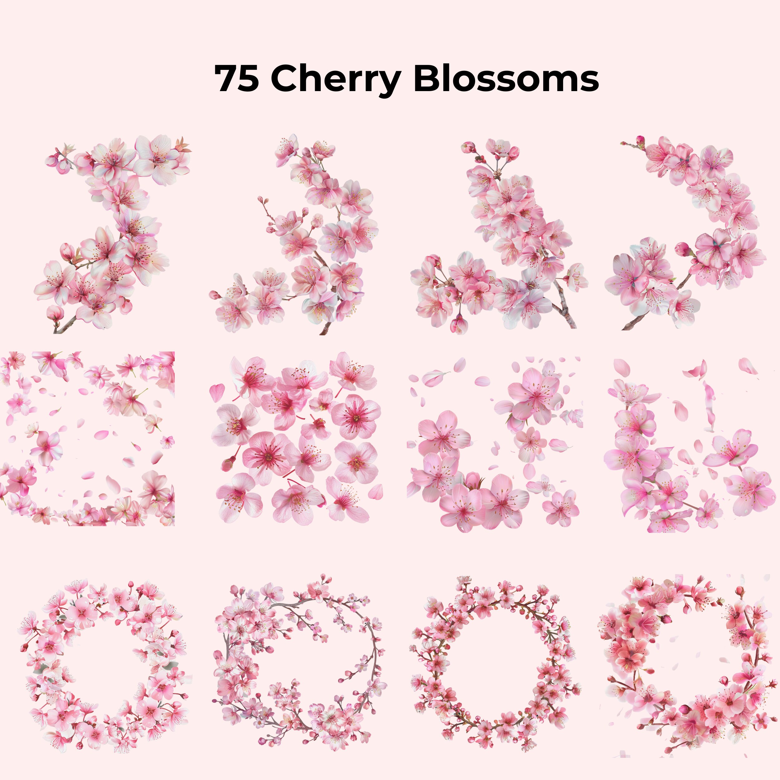 Cherry Blossom PNG SVG Bundle - Pink Floral Frames - Wildflower Bouquet ...