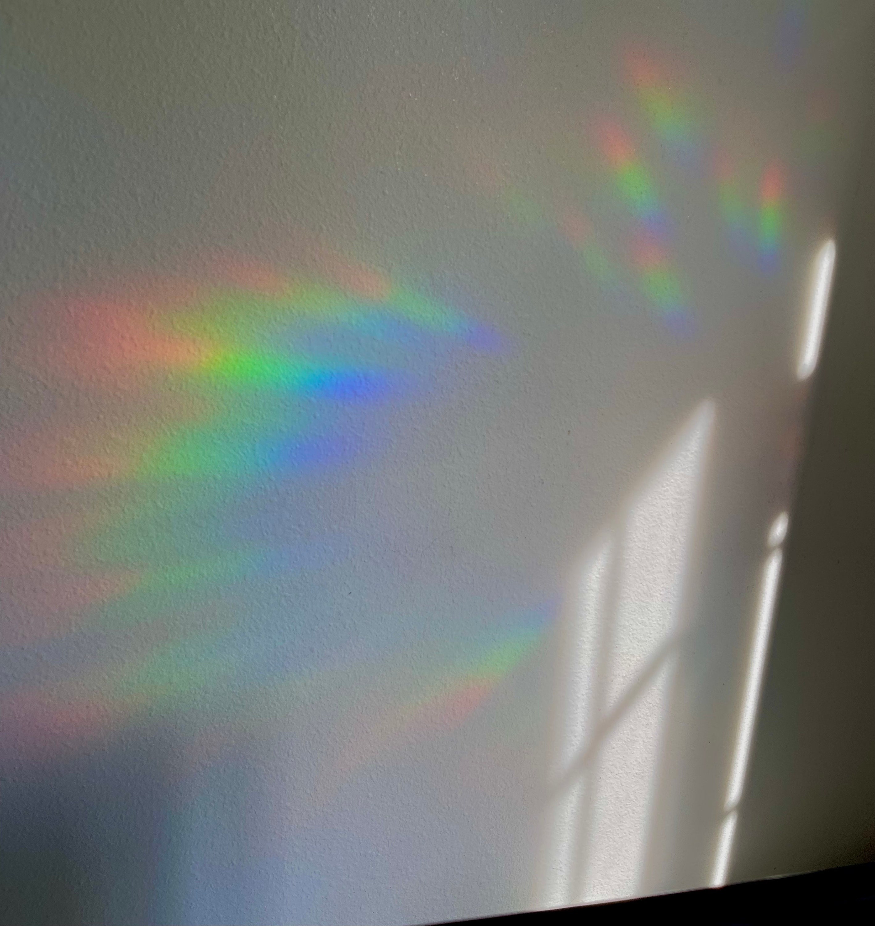 Retro Flower Suncatcher Rainbow Maker Prism Window Decal - Etsy
