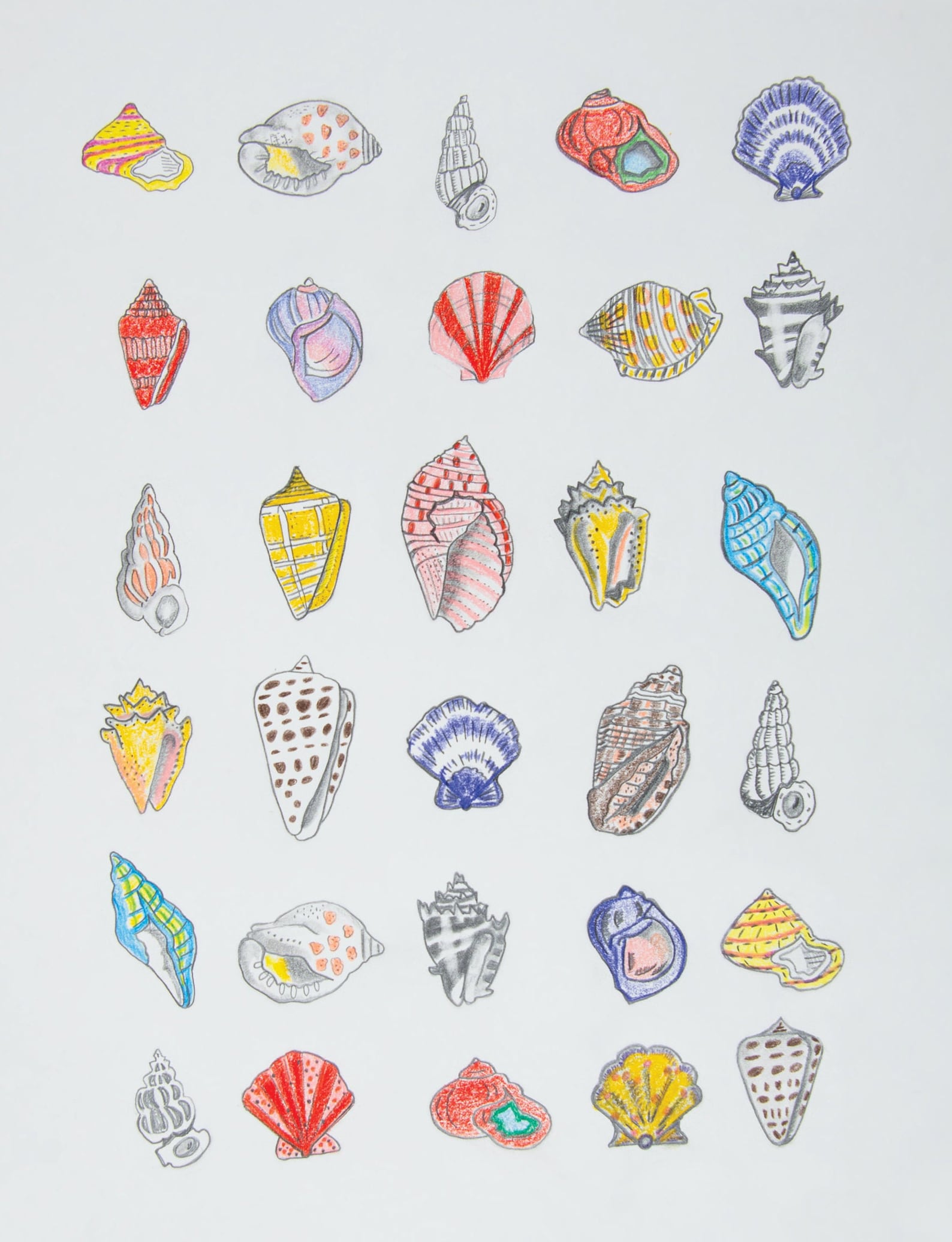 Pencil Drawing Seashell Print, Shell Coastal Artwork, Beach House Decor ...
