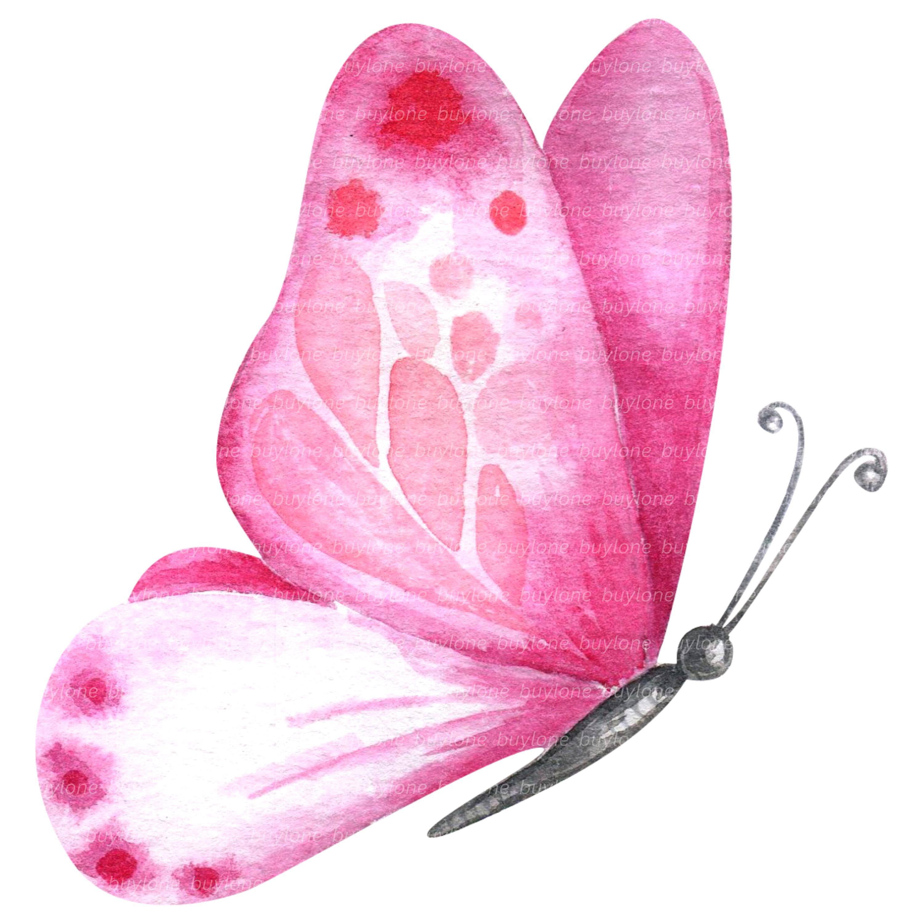 20 PNG Colorful Butterfly Clipart – Watercolor Butterflies, High ...