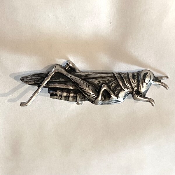 Bug Pin - Etsy