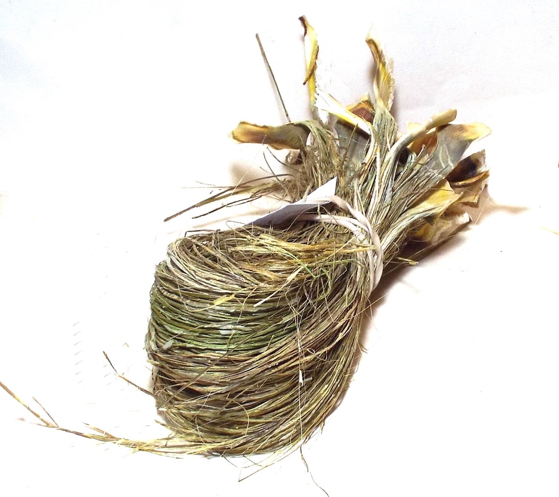 Yucca Natural Fiber 2 OZ Split Ends On Baskets Coiling Cordage | Etsy