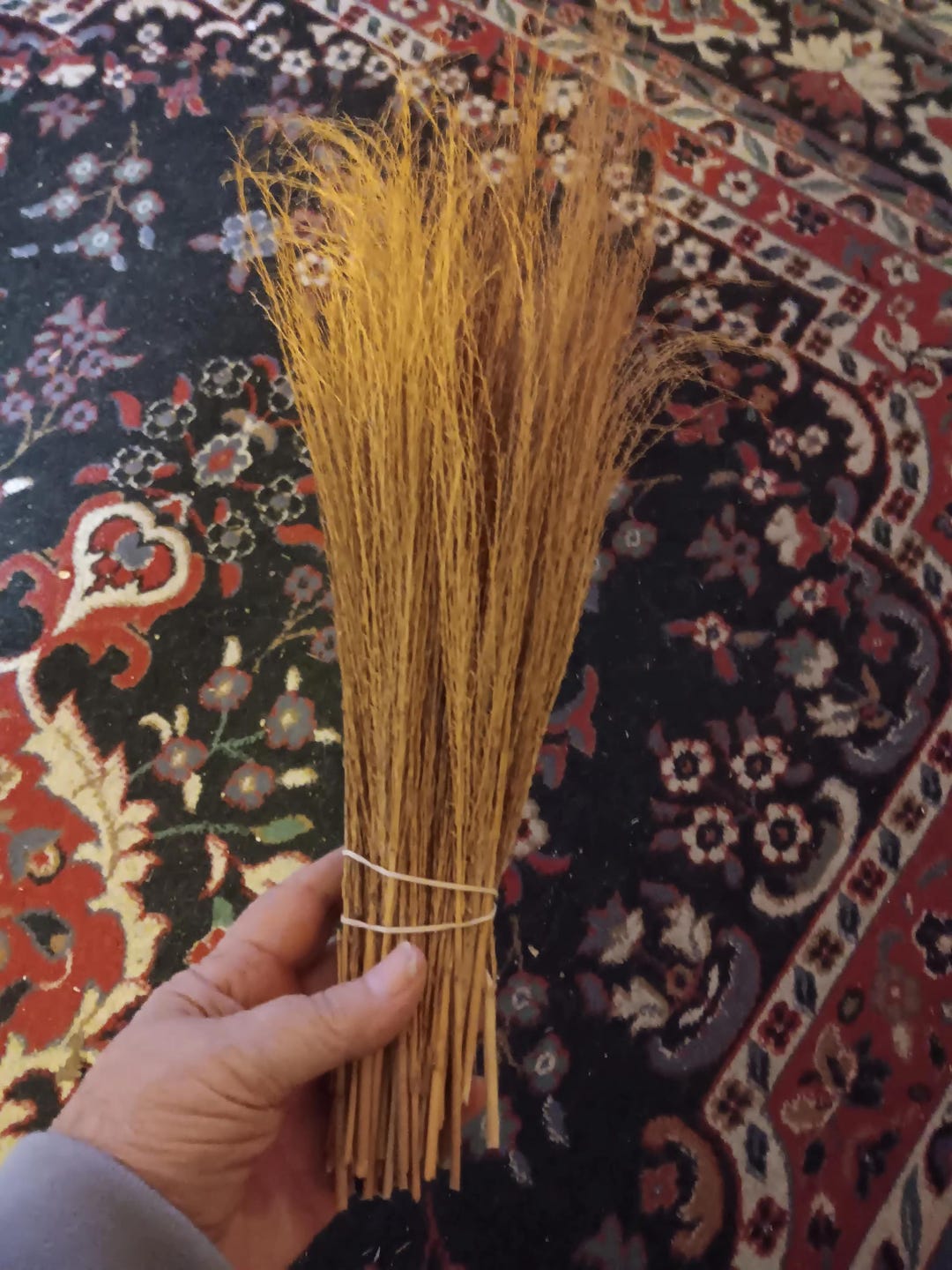 Miscanthus Grass Accent Stems 50 for Coiled Basket Giant Maiden Grass ...