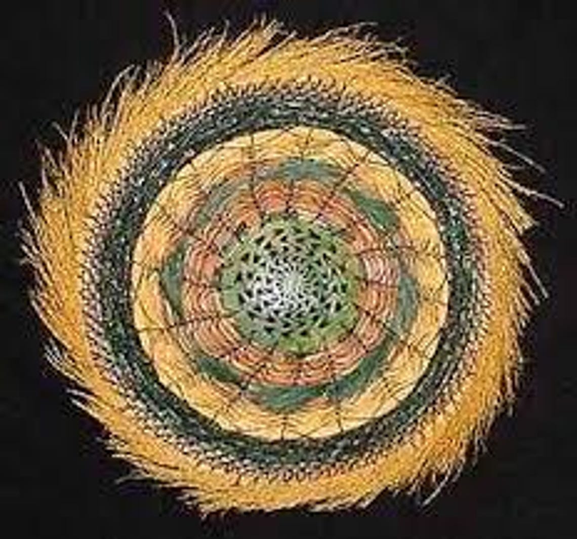Miscanthus Grass Accent Stems 50 for Coiled Basket Giant Maiden Grass ...