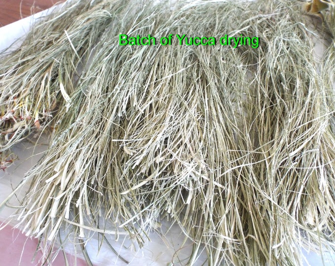 Yucca Natural Fiber Baskets Crafts Coiling Cordage Basketry Organic ...