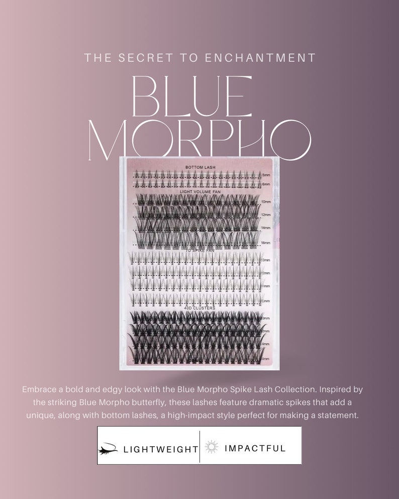 Enchantment Cluster Lash Collection - Etsy