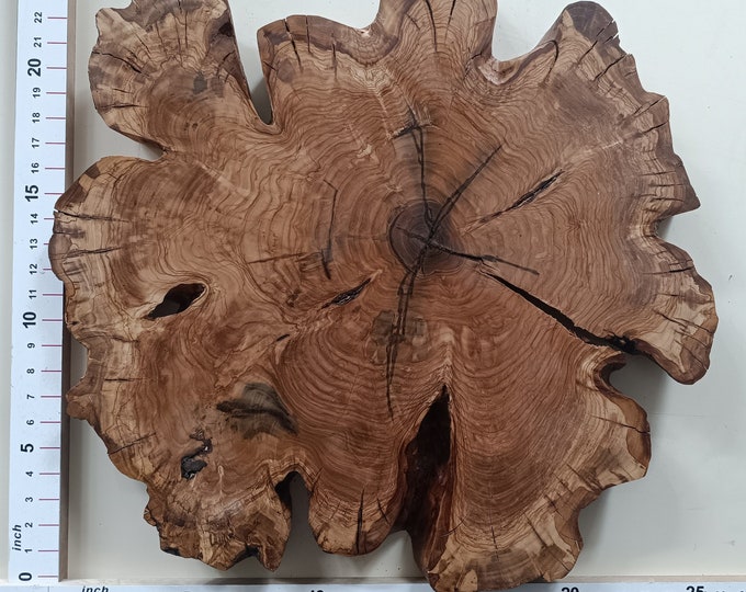 Olive Wood Slab, 28" X 25" Live Edge Olive Wood Slab for Craft, Olive ...
