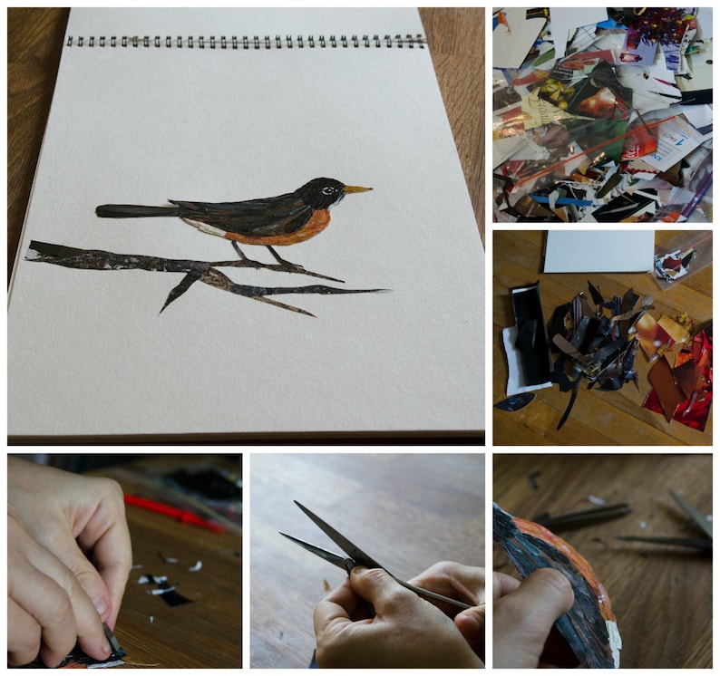 Robin Card of Original Collage - Etsy