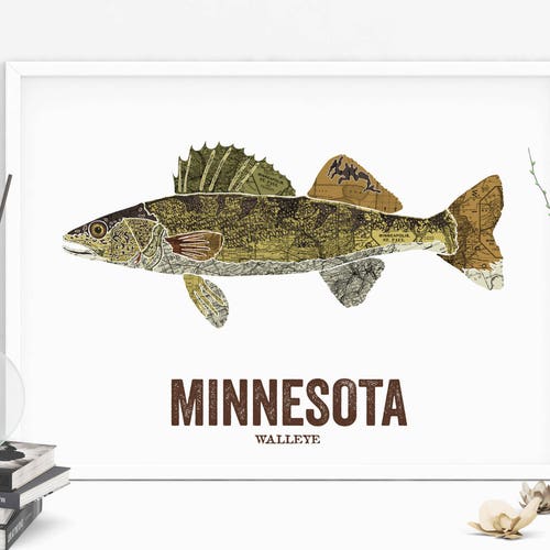 Colorado State Fish Map Art Nature Outdoor Art Vintage Map - Etsy