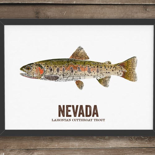 Oregon State Fish Map Art Nature Outdoor Art Vintage Map - Etsy