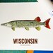 Wisconsin State Fish Map Art Nature Outdoor Art Vintage Map - Etsy