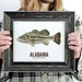 Alabama State Fish, Map Art, Nature Outdoor Art, Vintage Map Art, Art ...