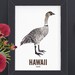 HAWAII Art, State Bird Print, Map Art, Wedding Gift, Nursery Art, Home ...