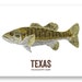 Texas State Fish Map art Nature Outdoor art Vintage Map | Etsy