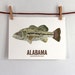 Alabama State Fish Map art Nature Outdoor art Vintage Map | Etsy