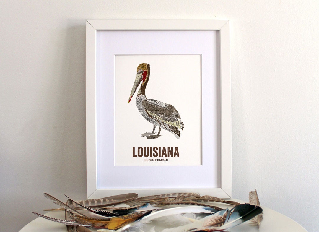 Louisiana State Bird, Nature Art, Outdoor Art, Vintage Map Art, Art ...