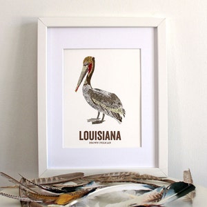 Louisiana State Bird, Nature Art, Outdoor Art, Vintage Map Art, Art ...