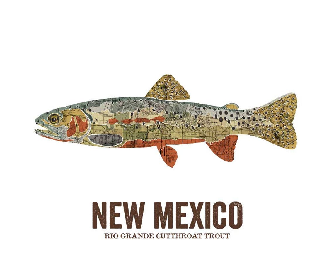 New Mexico State Fish, Map Art, Outdoor Art, Lake House, Art Print ...