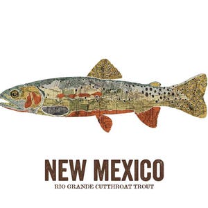 New Mexico State Fish, Map Art, Outdoor Art, Lake House, Art Print ...