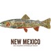 New Mexico State Fish, Map Art, Outdoor Art, Lake House, Art Print ...