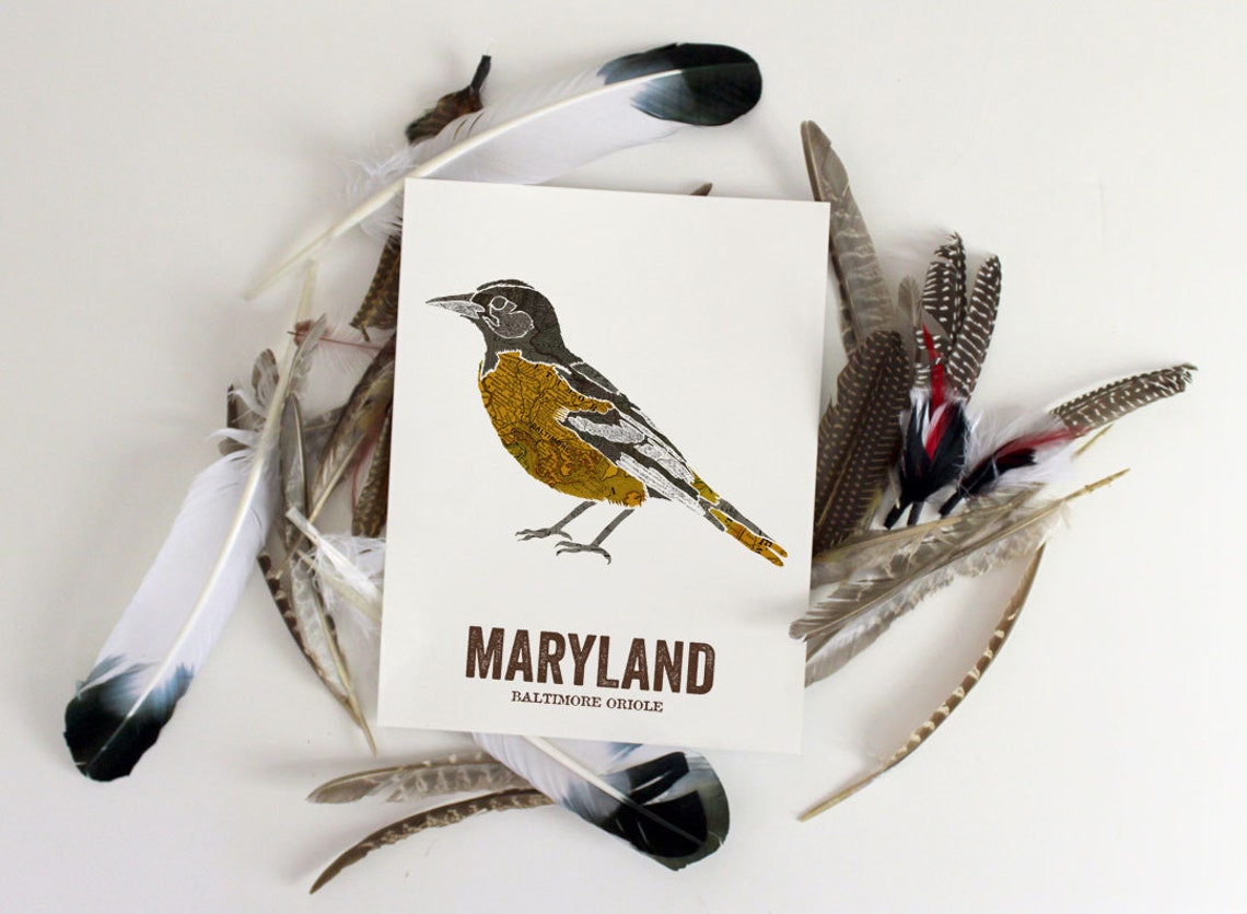 Maryland State Bird Nature Art Outdoor Art Vintage Map Art - Etsy