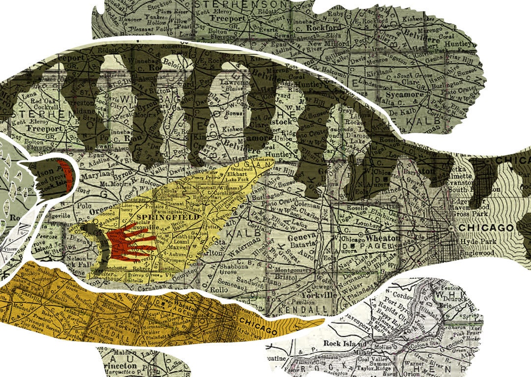 Illinois State Fish, Map Art, Nature Outdoor Art, Vintage Map Art, Art ...