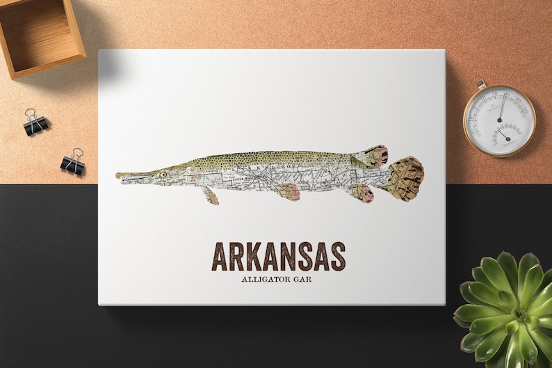 Arkansas State Fish Map Art Nature Outdoor Art Vintage Map - Etsy