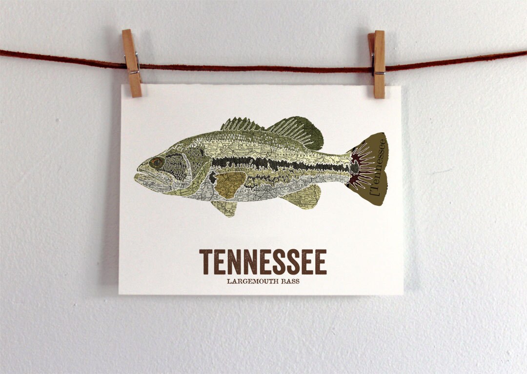 Tennessee State Fish, Map Art, Nature Outdoor Art, Vintage Map Art, Art ...