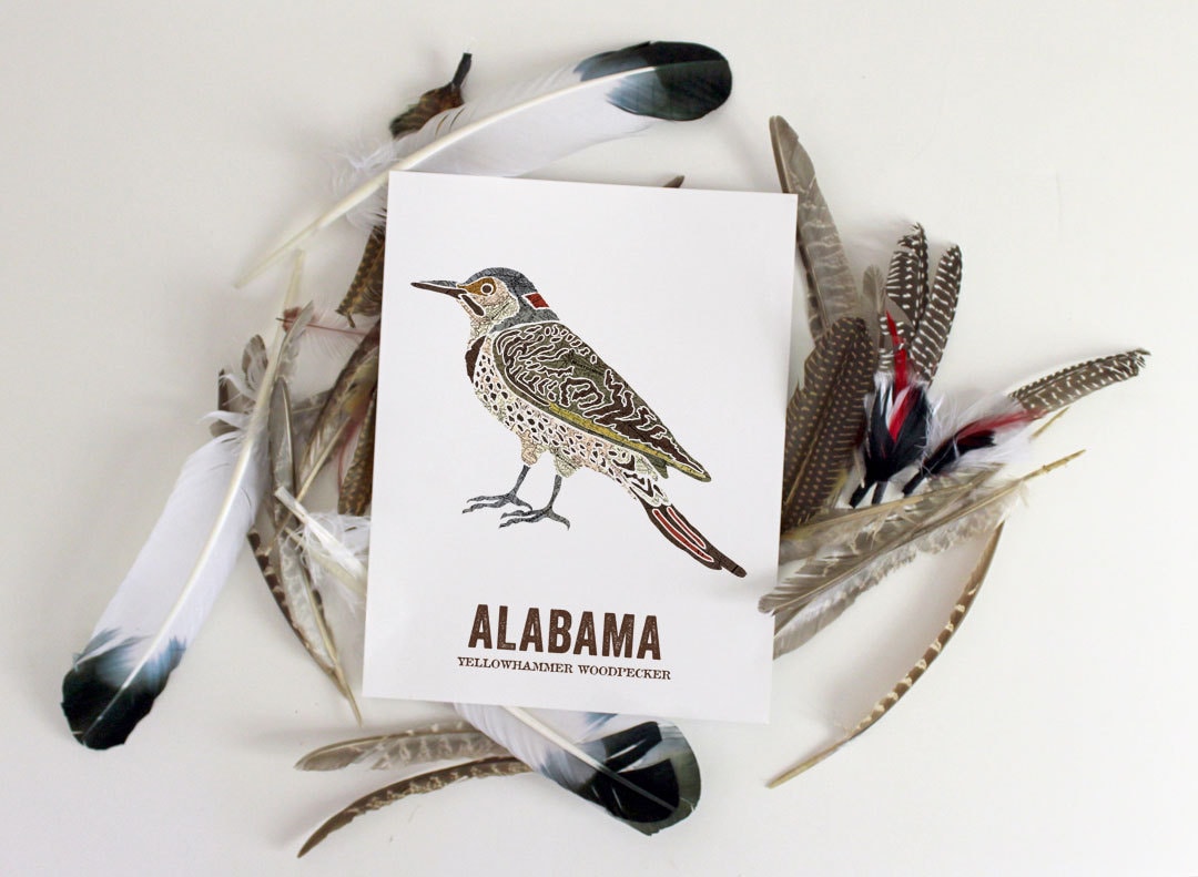 Alabama State Bird, Nature Art, Outdoor Art, Vintage Map Art, Art Print ...