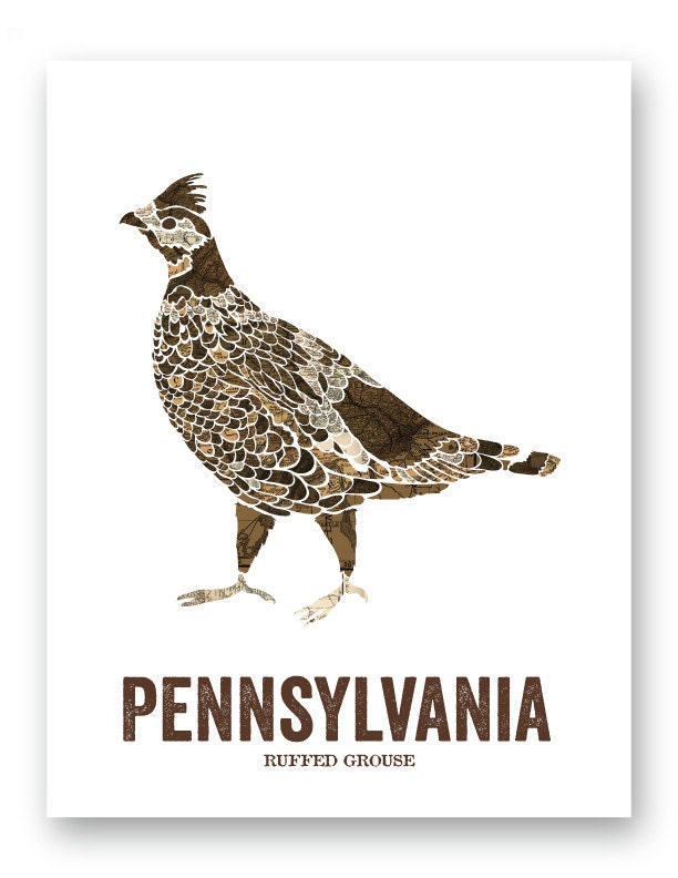 Pennsylvania State Bird Nature Art Outdoor Art Vintage Map - Etsy