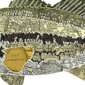 Florida State Fish, Map Art, Nature Outdoor Art, Vintage Map Art, Art ...