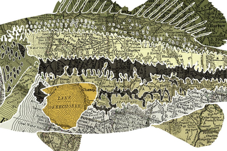 Florida State Fish, Map Art, Nature Outdoor Art, Vintage Map Art, Art ...