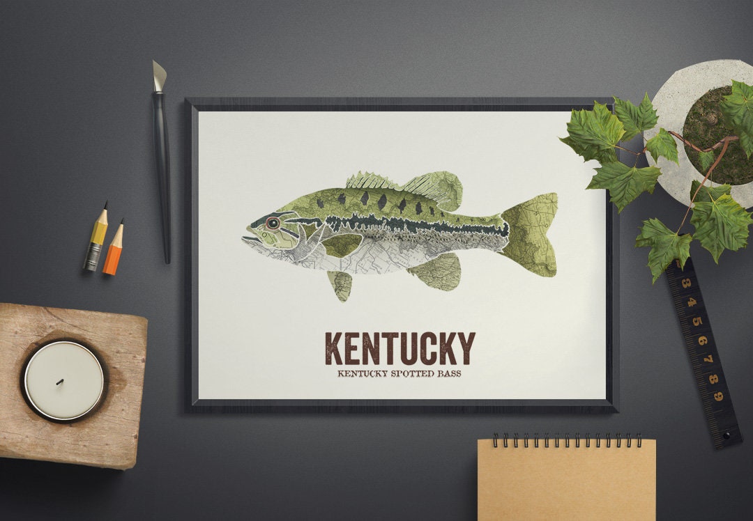 Kentucky State Fish, Map Art, Nature Outdoor Art, Vintage Map Art, Art ...
