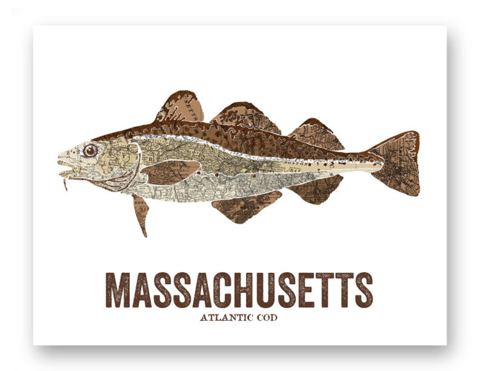 Massachusetts State Fish Map Art Nature Outdoor Art Vintage - Etsy