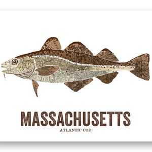 Massachusetts State Fish, Map Art, Nature Outdoor Art, Vintage Map Art ...