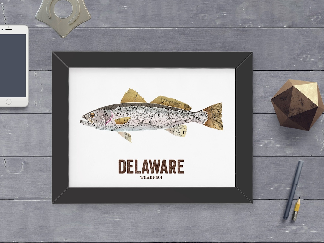 Delaware State Fish, Map Art, Nature Outdoor Art, Vintage Map Art, Art ...