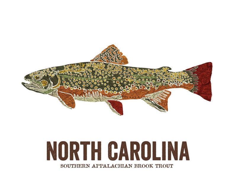 North Carolina State Fish, Map Art, Nature Outdoor Art, Cottage Art ...