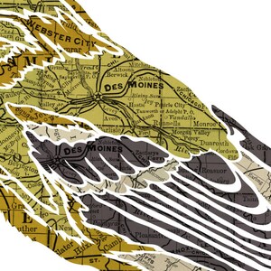Iowa State Bird, Nature Art, Outdoor Art, Vintage Map Art, Art Print ...