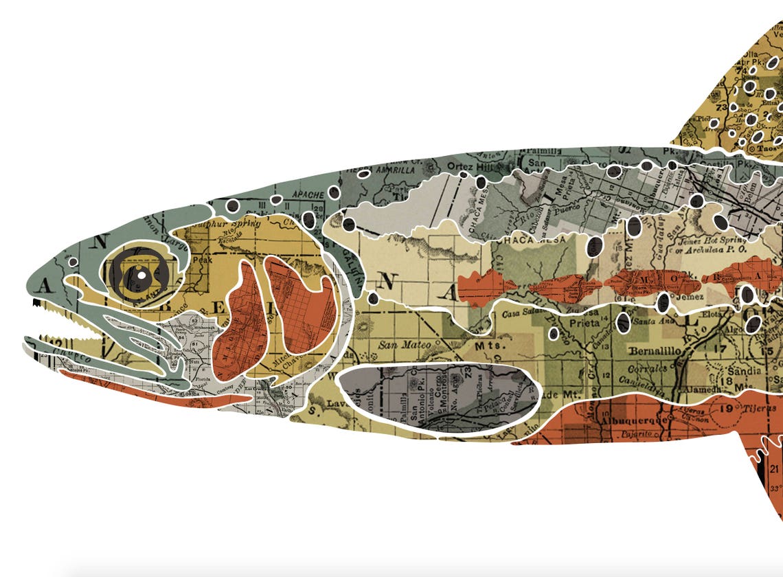 New Mexico State Fish, Map Art, Outdoor Art, Lake House, Art Print ...