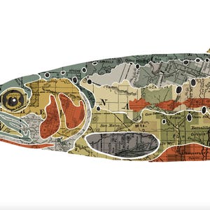 New Mexico State Fish, Map Art, Outdoor Art, Lake House, Art Print ...