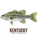 Kentucky State Fish, Map Art, Nature Outdoor Art, Vintage Map Art, Art ...