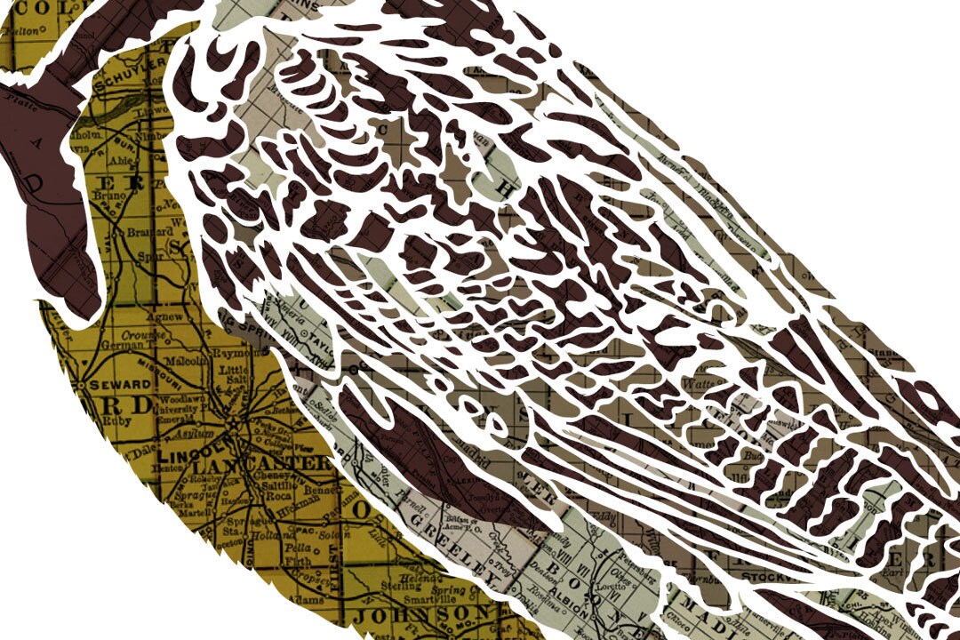 Nebraska State Bird Nature Art Outdoor Art Vintage Map Art - Etsy