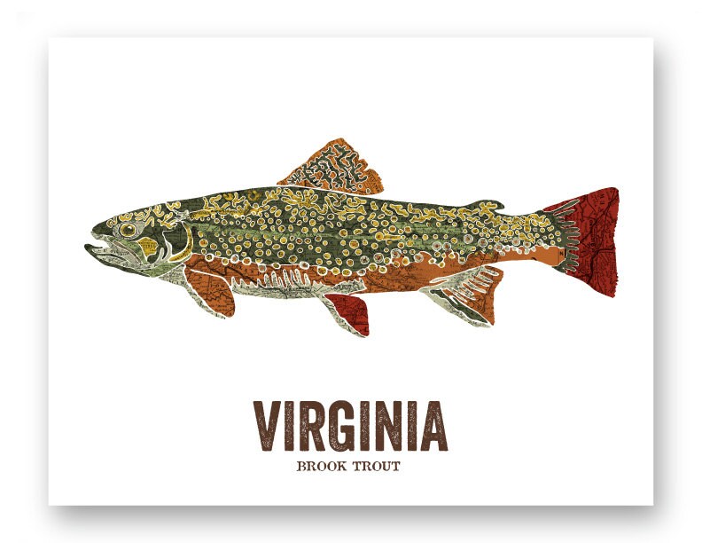 Virginia State Fish Map Art Nature Outdoor Art Vintage Map - Etsy