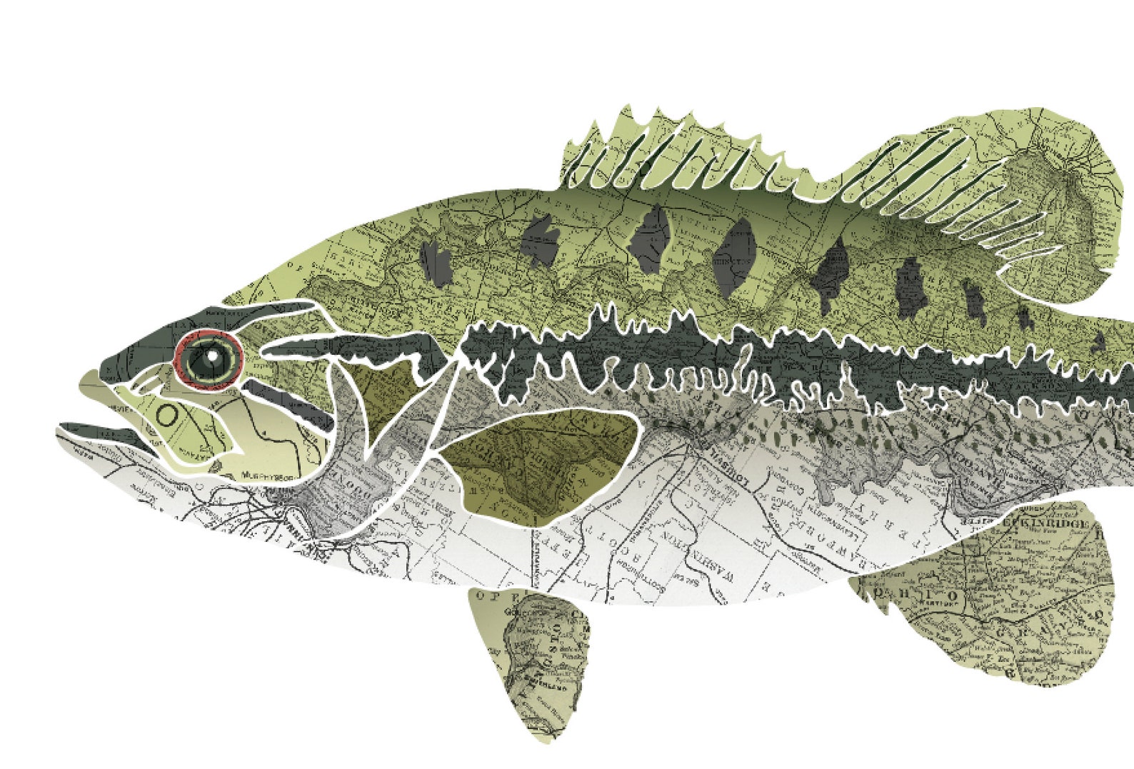 Kentucky State Fish, Map Art, Nature Outdoor Art, Vintage Map Art, Art ...