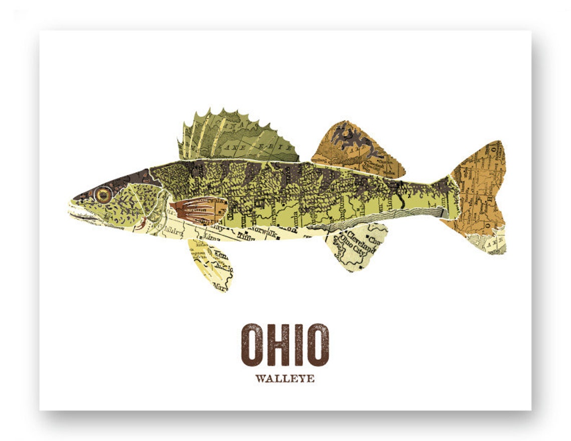 Ohio State Fish Map Art Nature Outdoor Art Vintage Map Art - Etsy