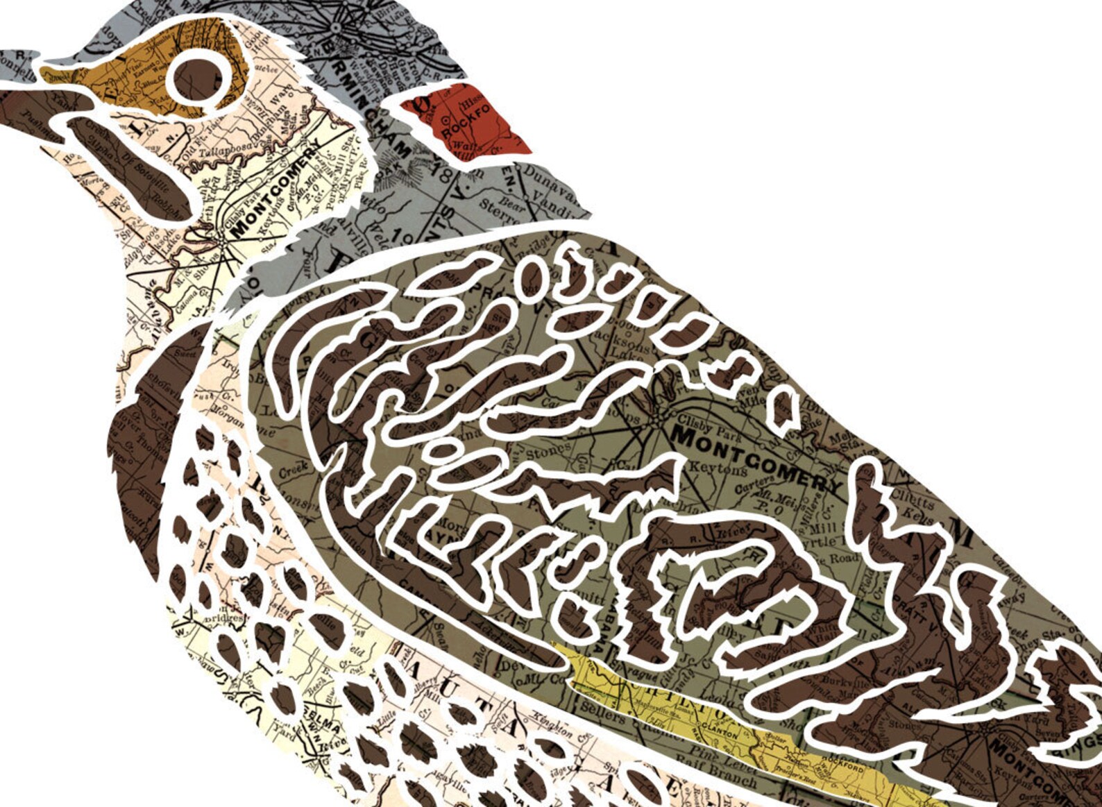 Alabama State Bird Nature Art Outdoor Art Vintage Map Art - Etsy