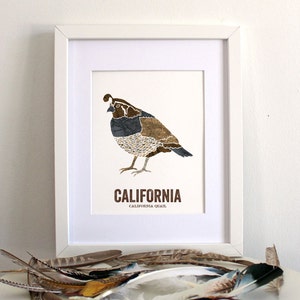 California State Bird, Nature Art, Outdoor Art, Vintage Map Art, Art ...