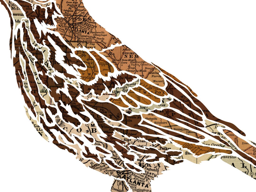 Georgia State Bird Nature Art Outdoor Art Vintage Map Art - Etsy