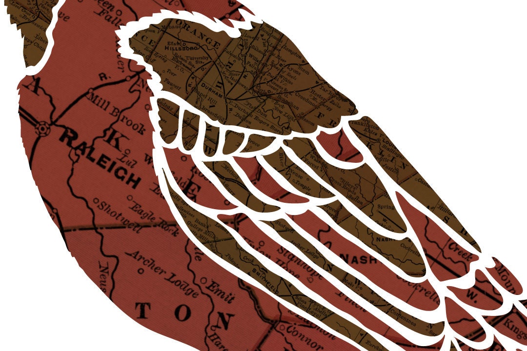 North Carolina State Bird Nature Art Outdoor Art Vintage - Etsy